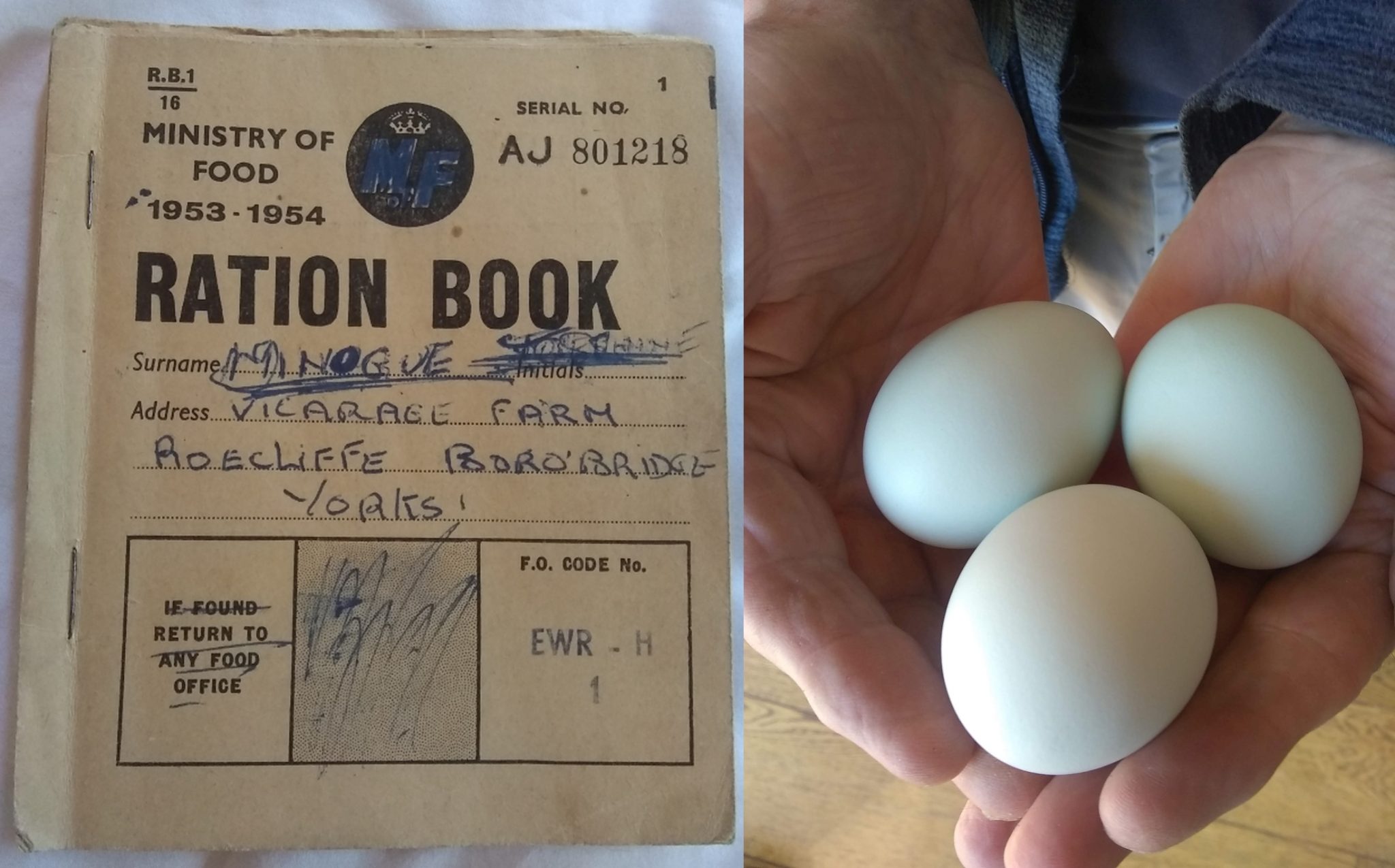 REFUSING BACON AND WASHING EGGS – Martin Minogue